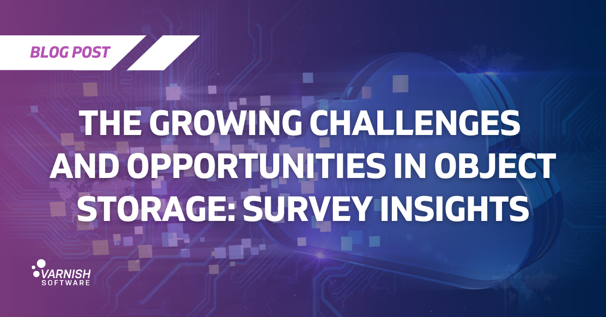 The Growing Challenges and Opportunities in Object Storage: Survey Insights